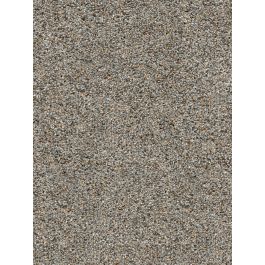Parade Residential Carpet Color: Vale Mist - Dreamweaver by Engineered ...