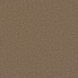 Broadcast Plus Residential Carpet Color: Sandstone - Dreamweaver by ...